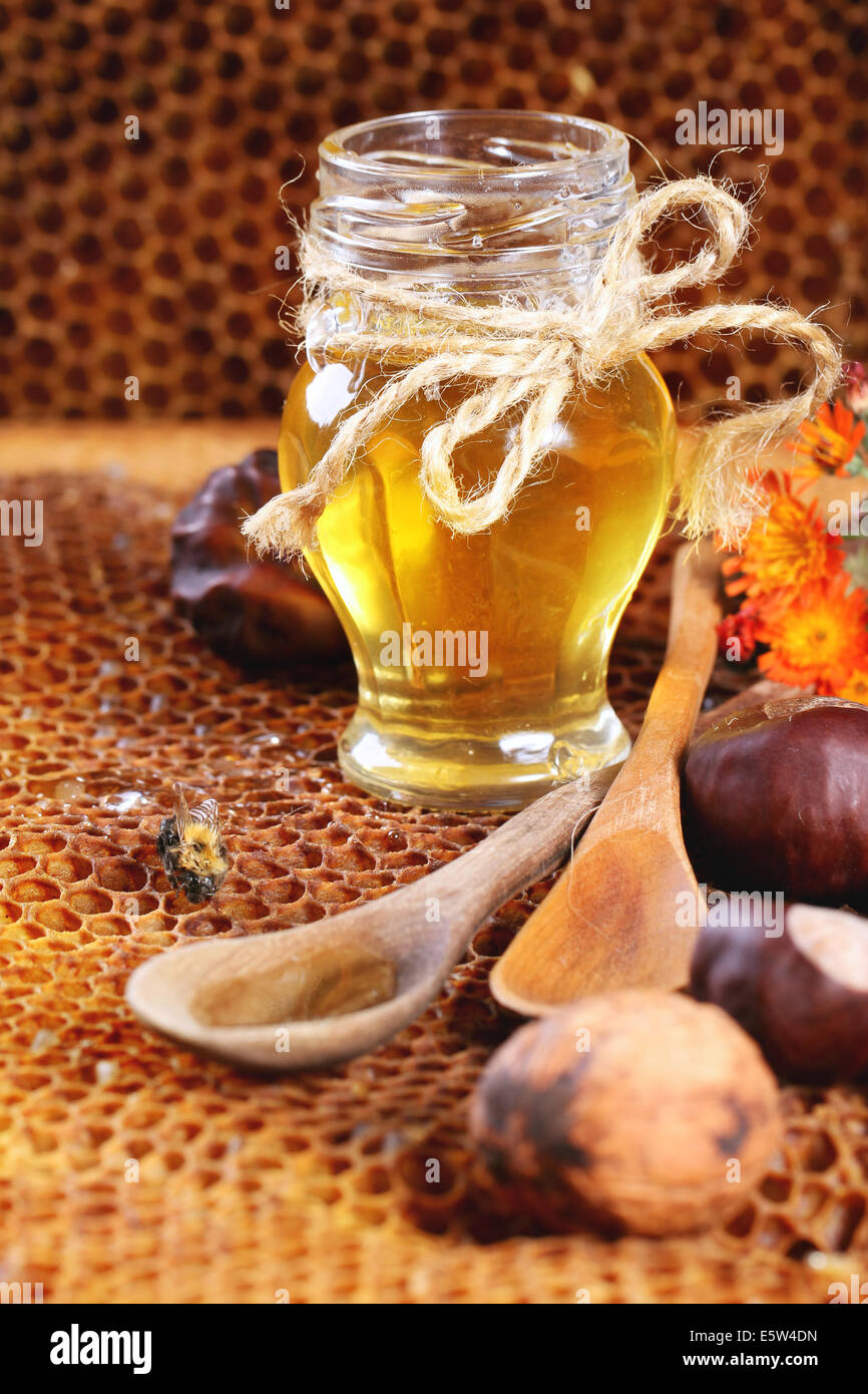 Wax nuts hi-res stock photography and images - Alamy