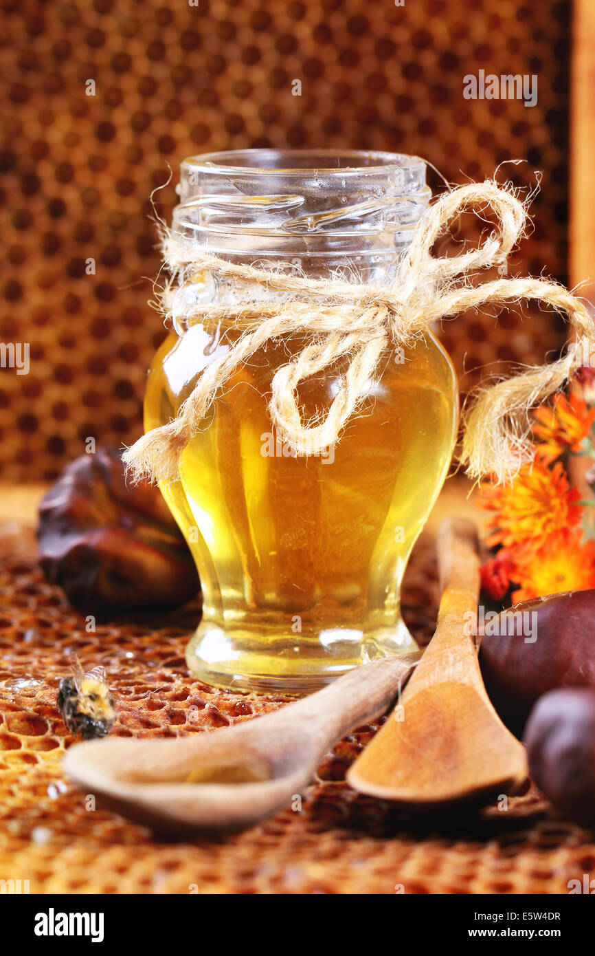 Wax nuts hi-res stock photography and images - Alamy