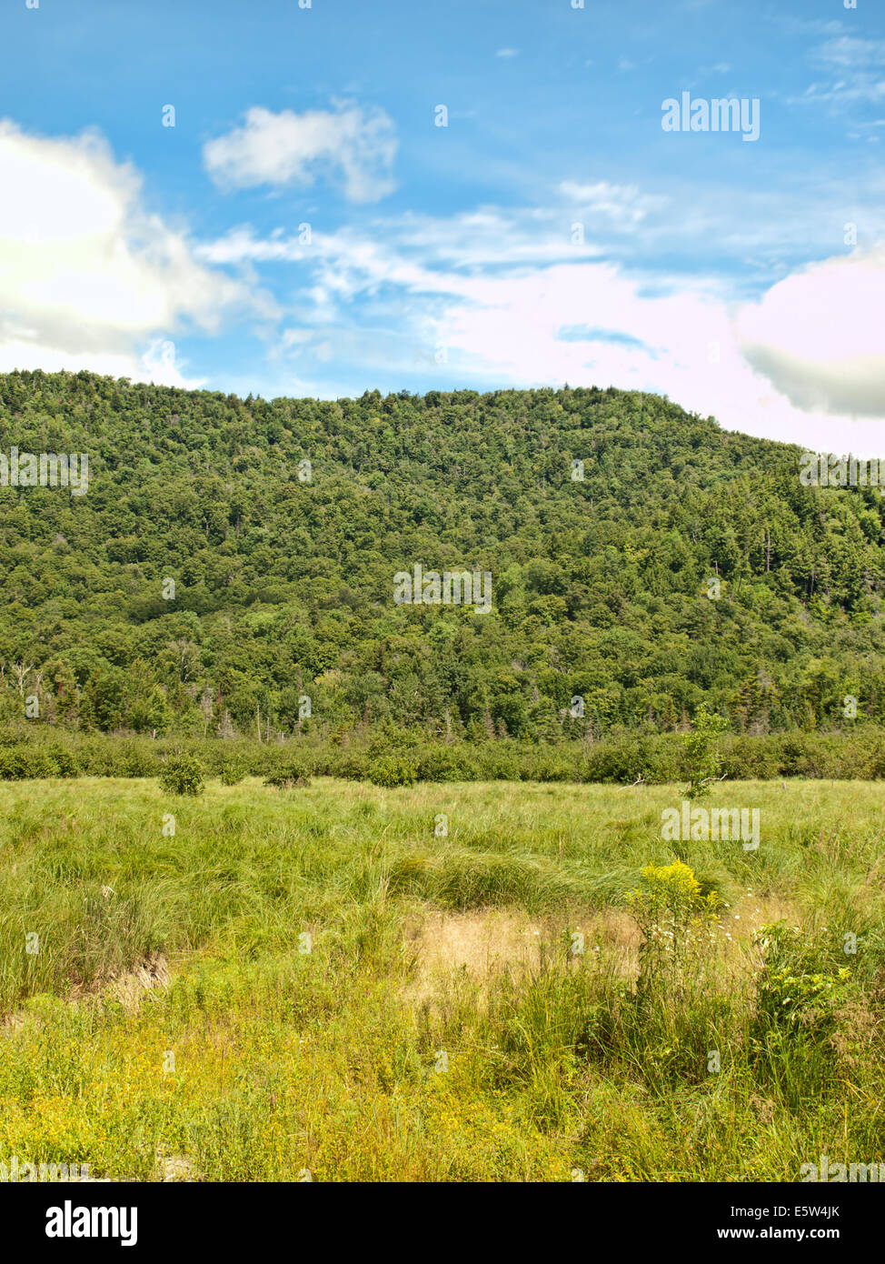 Lewey Lake in the Adirondack State park, New York Stock Photo - Alamy