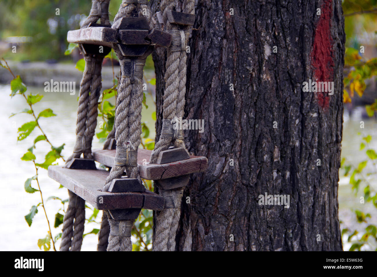 bark wood with rope-ladder as natural background Stock Photo - Alamy