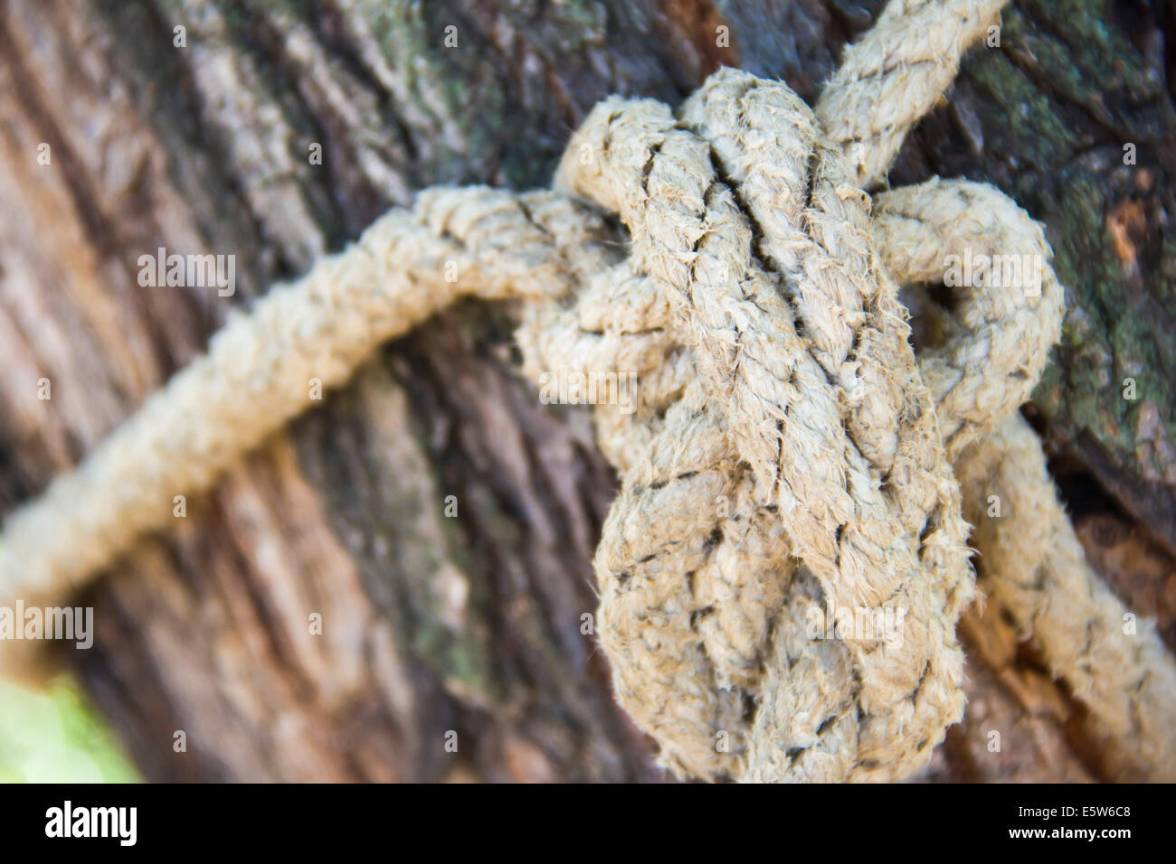 rope knot in wood background Stock Photo - Alamy