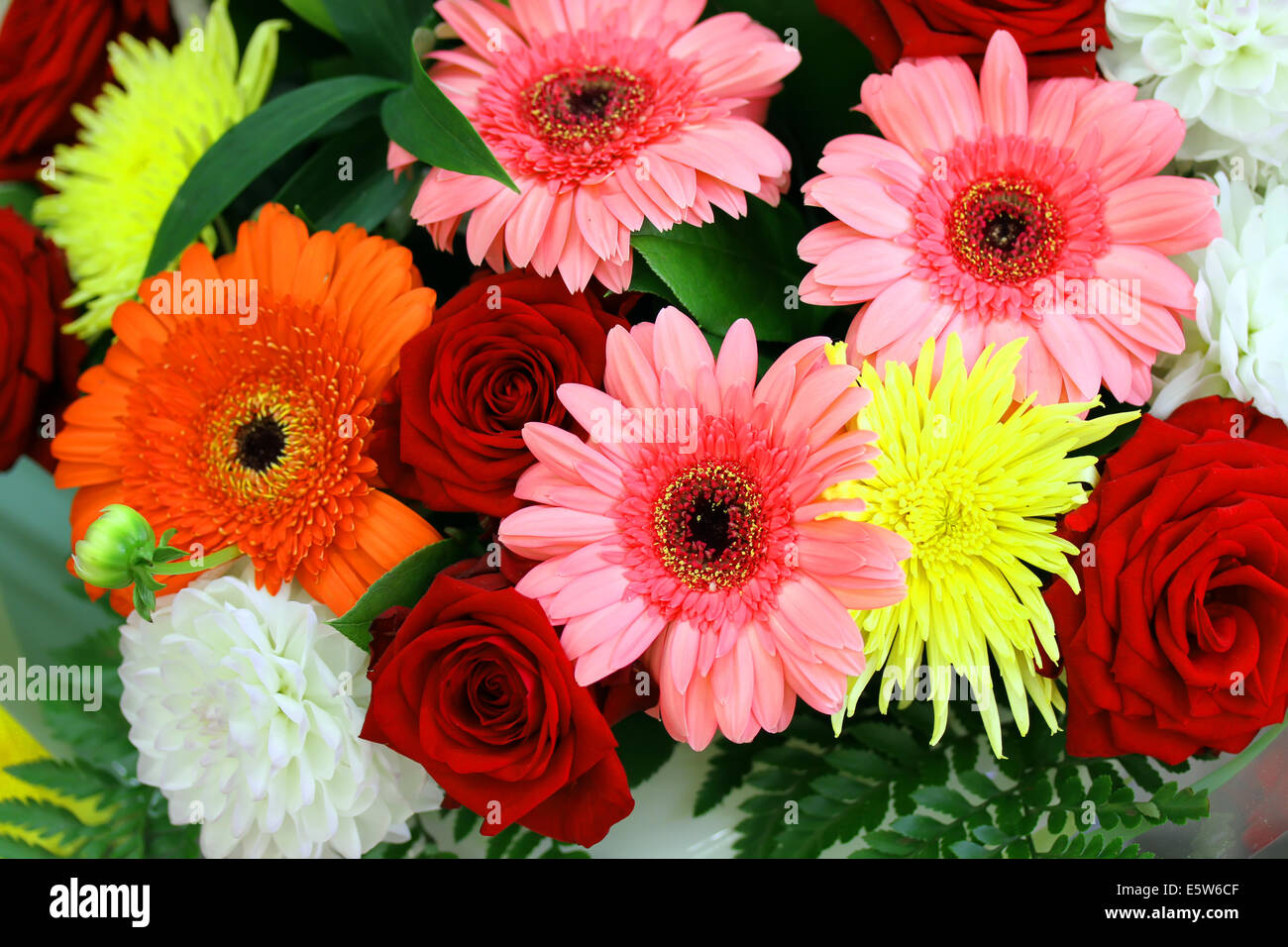 Beautiful flowers background Stock Photo - Alamy