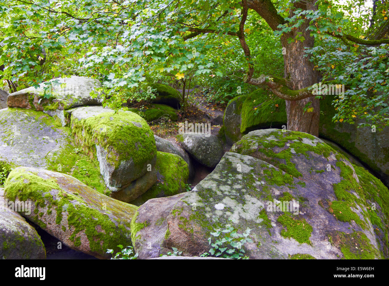 landscape with stone and river Stock Photo - Alamy