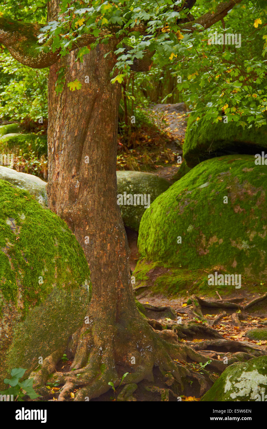 landscape with stone and river Stock Photo - Alamy