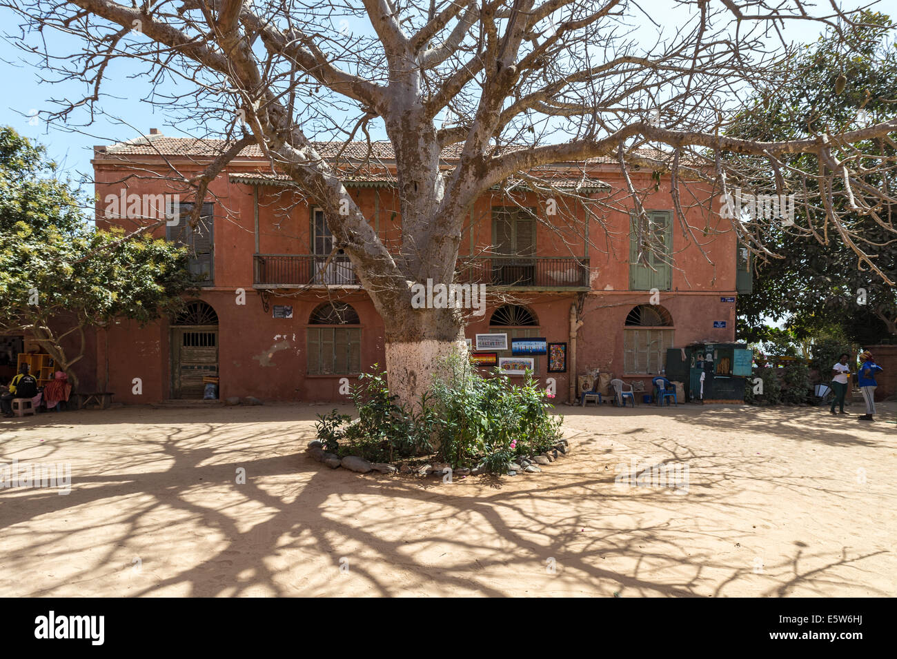 Baobab tree & historic building, Goree Island, UNESCO site, off Dakar ...