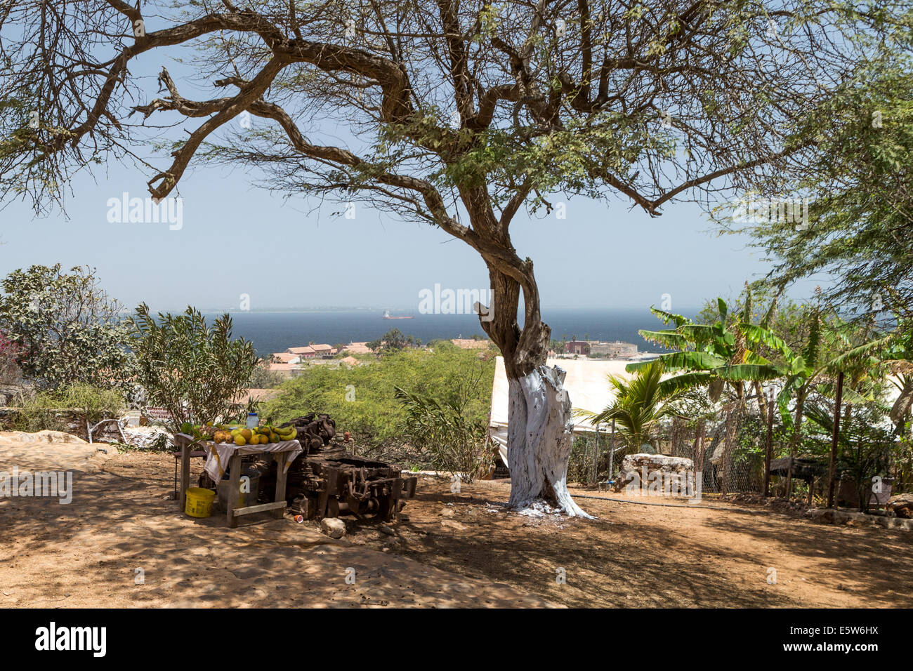 Fruit market dakar senegal hi-res stock photography and images - Alamy