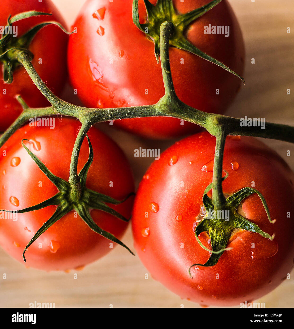 Fresh tomatoes on vine Stock Photo - Alamy