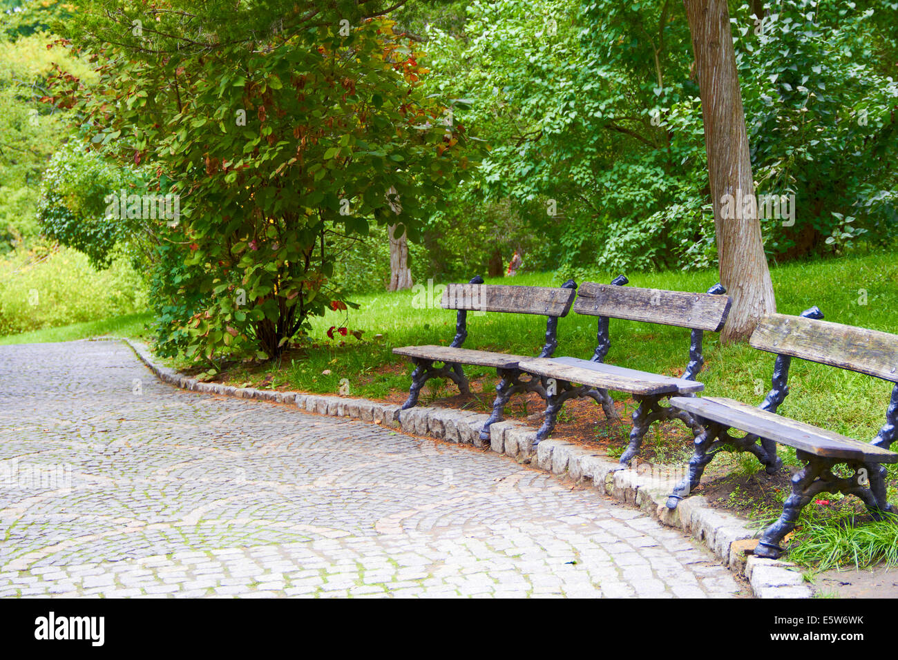 landscape with bench in park Stock Photo - Alamy