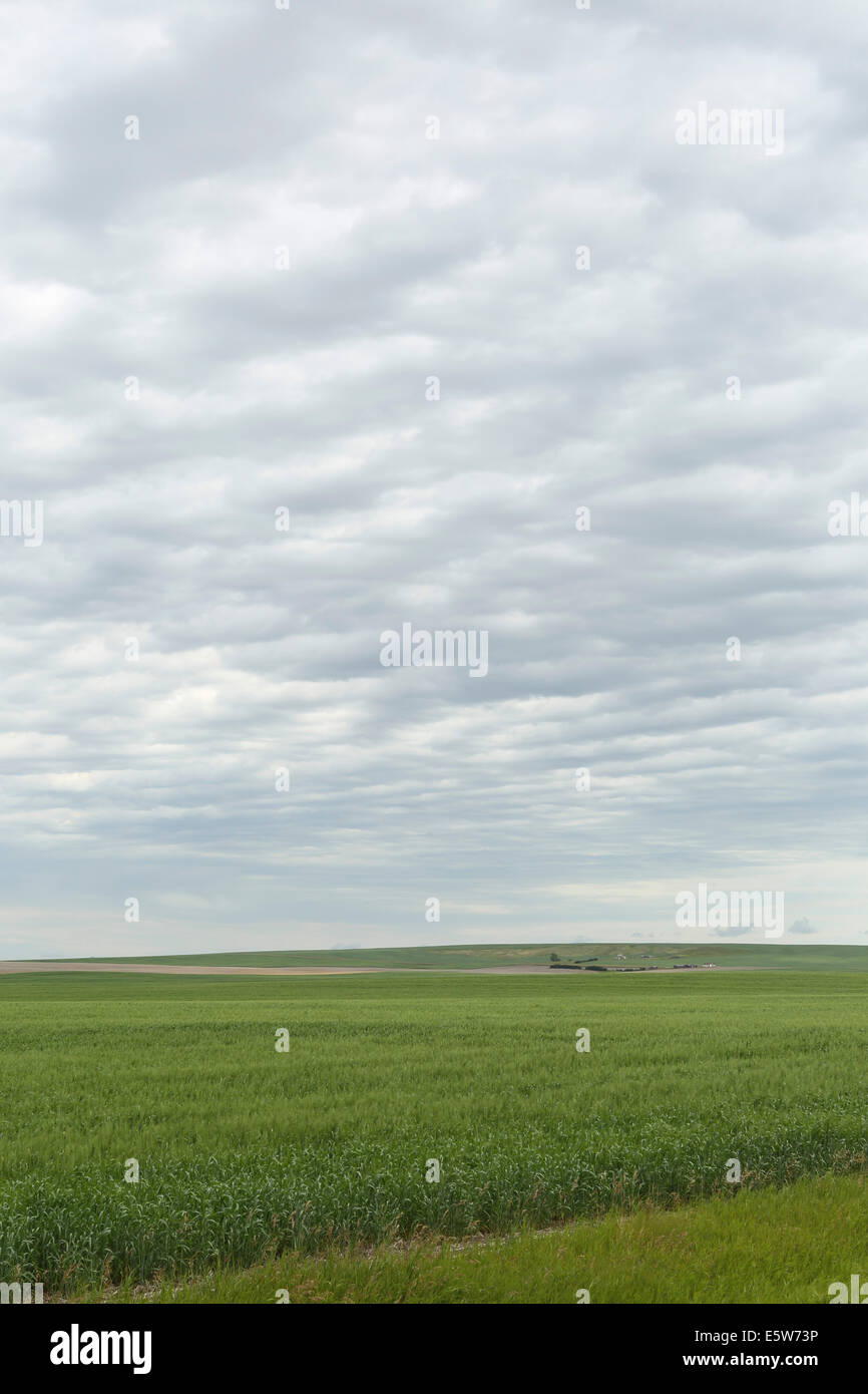Saskatchewan farm land hi-res stock photography and images - Alamy