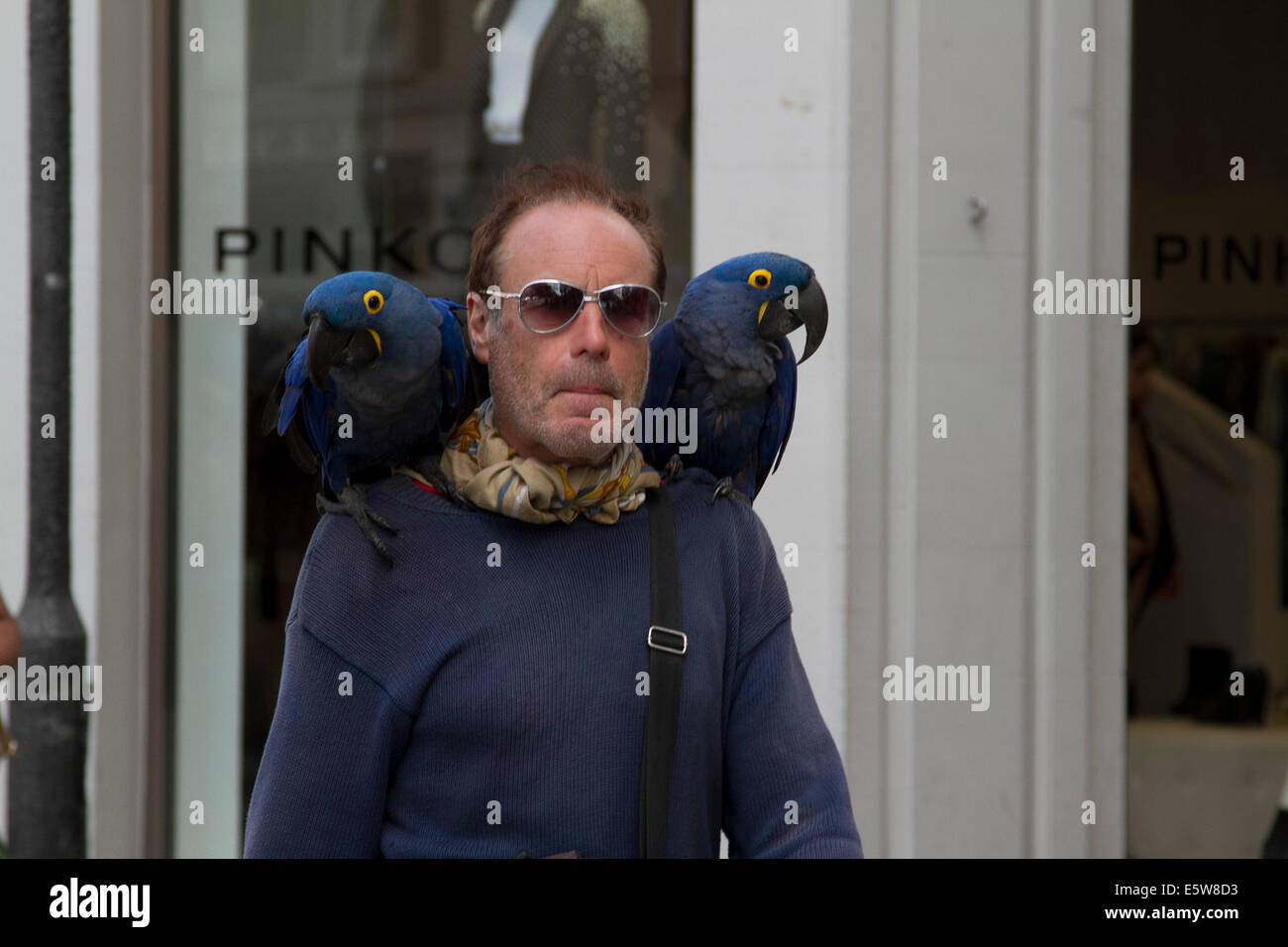 Man with parrots on shoulders hi-res stock photography and images - Alamy