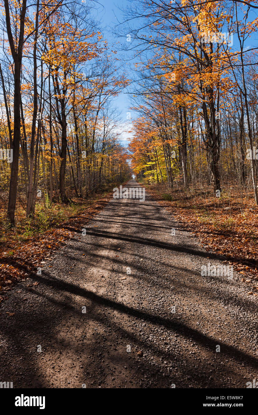 Fall colours road hi-res stock photography and images - Alamy
