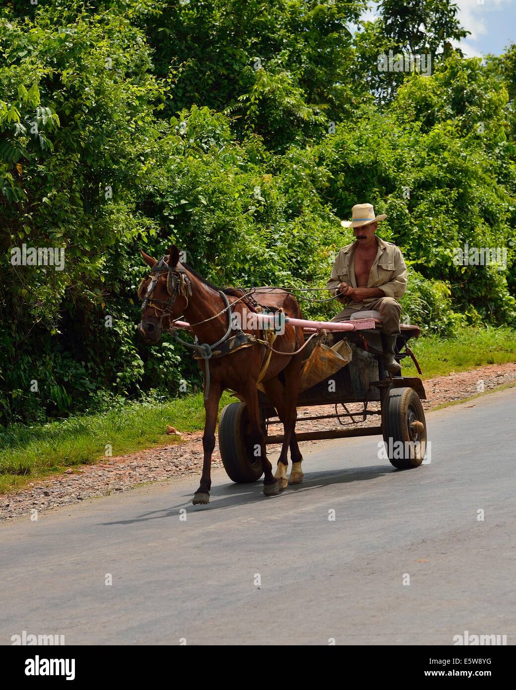 Pony and trap Cuban style Stock Photo - Alamy