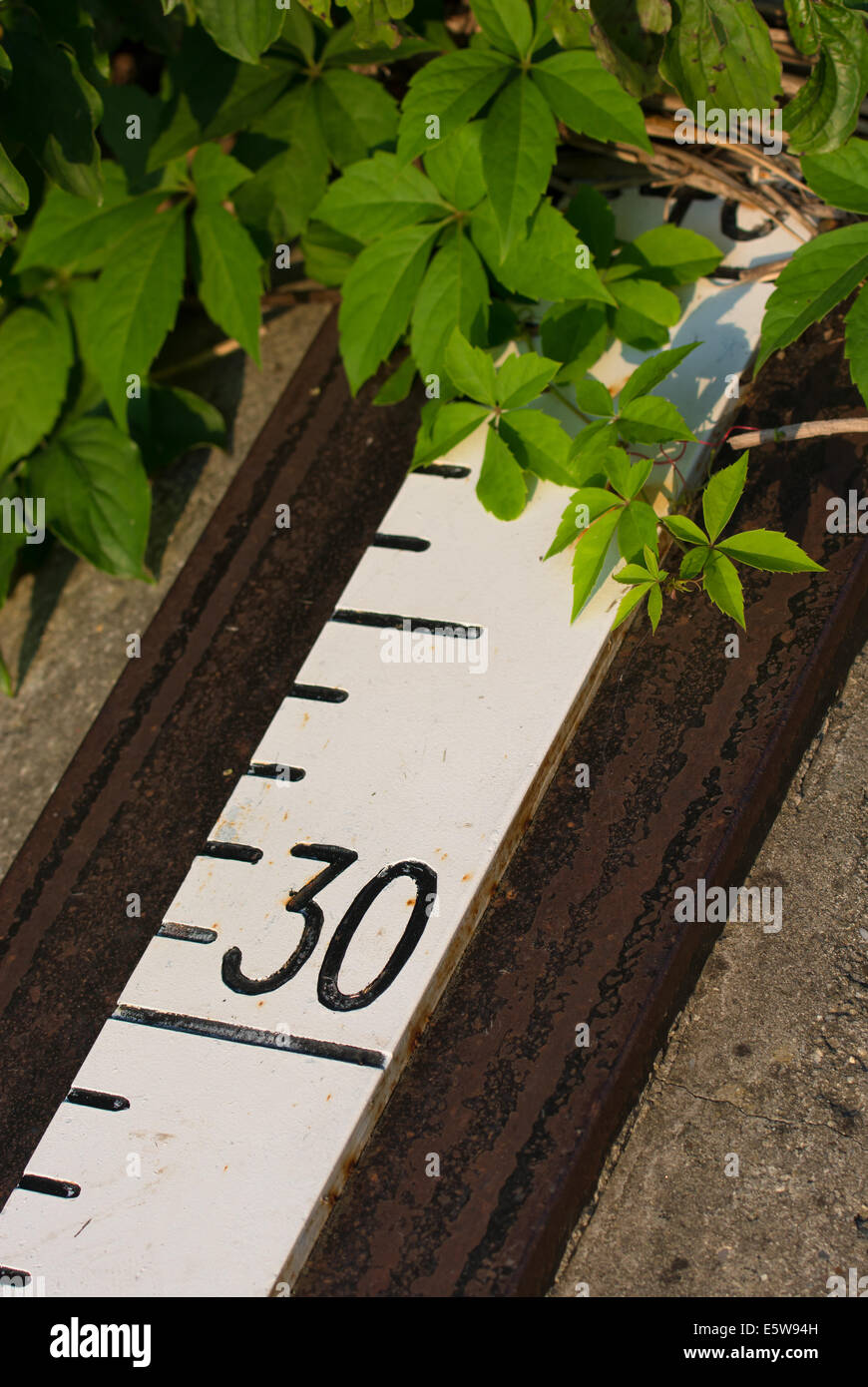 Measure Flood Level with Plants Stock Photo - Alamy