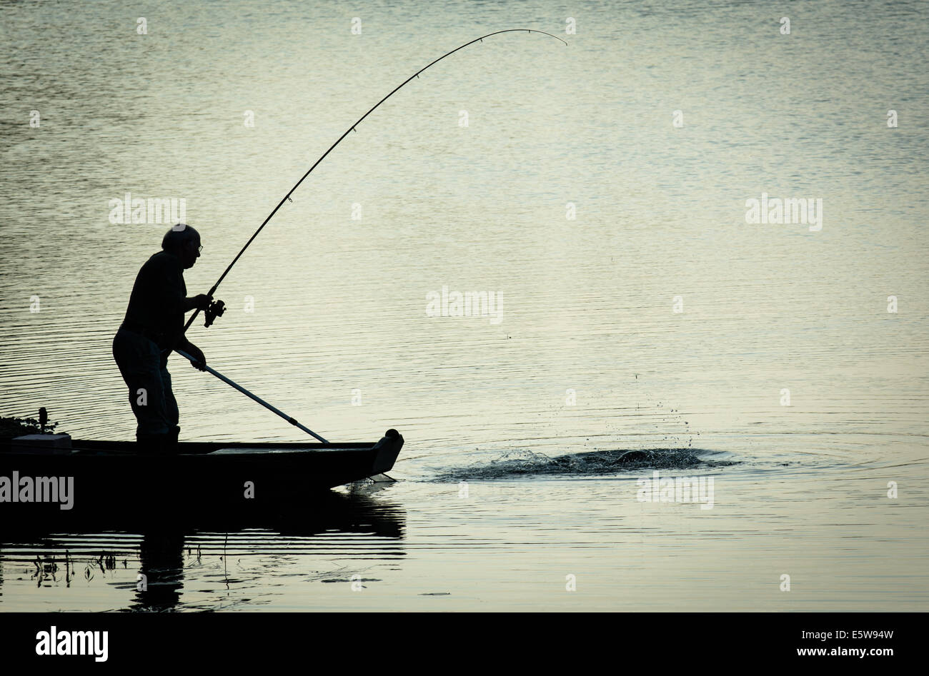 Fisherman In Boat Catches Big Fish On Twilight Lake Stock Photo - Alamy