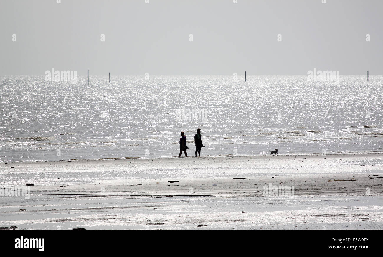 Seashore at low tide and shadow of people Stock Photo - Alamy