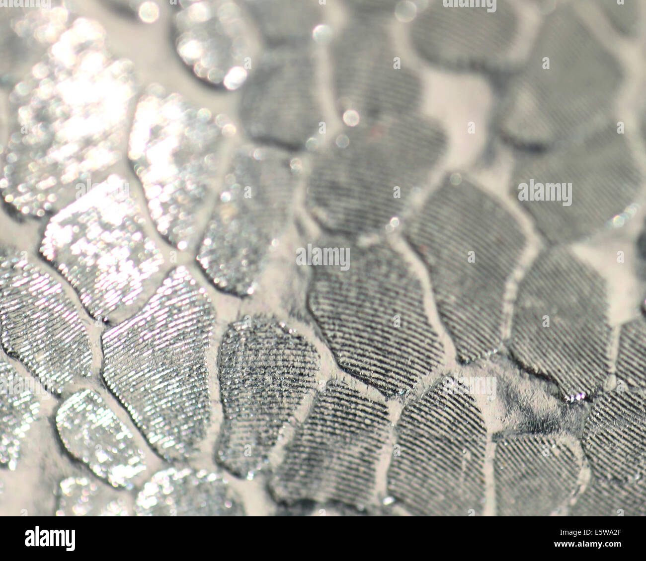 Texture scales hi-res stock photography and images - Alamy