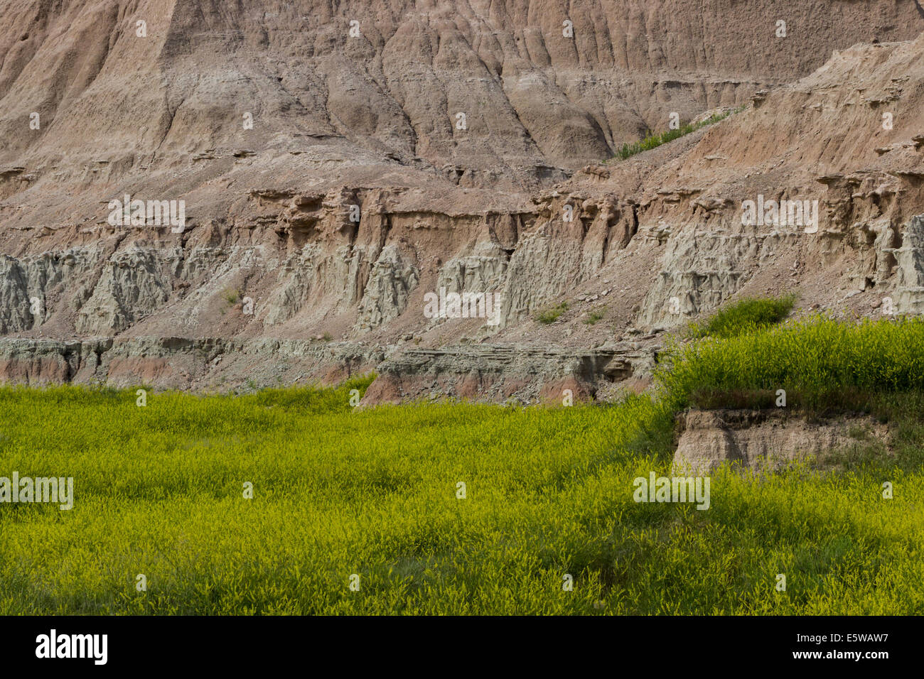 beautiful springtime landscape of the Badlands in south dakota with ...