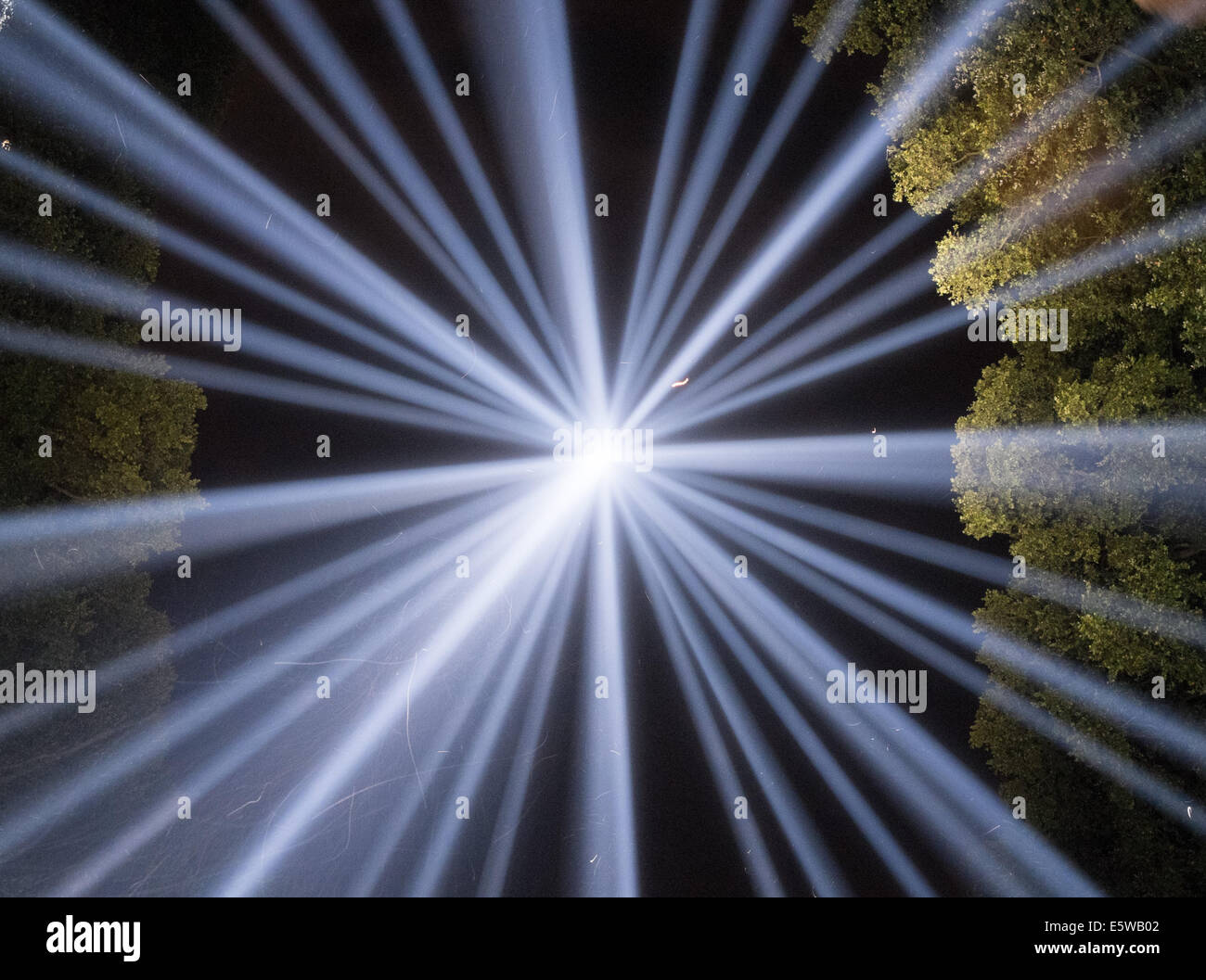 Moths in light beam hi-res stock photography and images - Alamy
