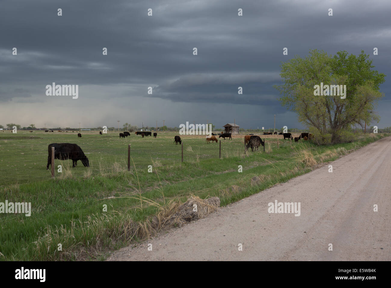 Prairie Evening Stock Photos & Prairie Evening Stock Images - Alamy