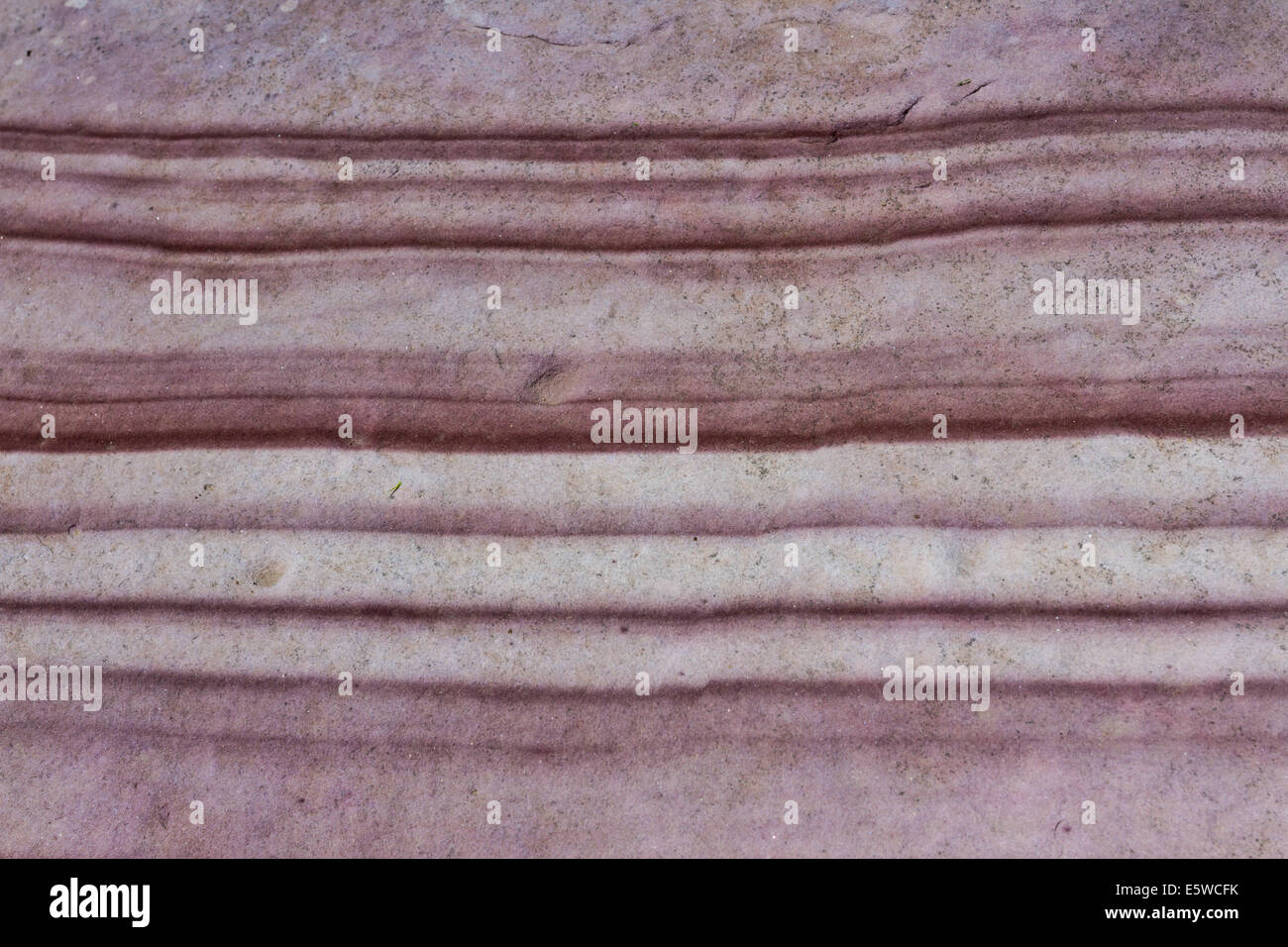 Large sandstone white background hi-res stock photography and images ...