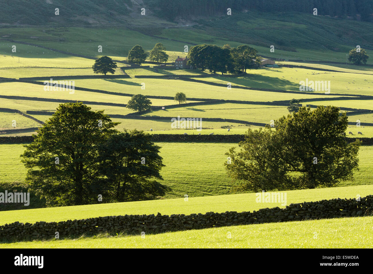 Bransdale in Upper Ryedale, The North York Moors, England Stock Photo ...