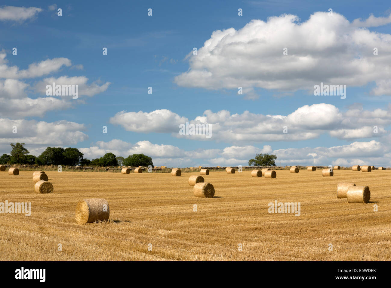 Hay bales at Carlton village in Upper Ryedale North Yorkshire, England ...