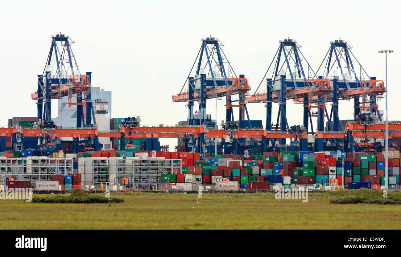 Container bridges at a container terminal at Europoort 2 in Rotterdam ...
