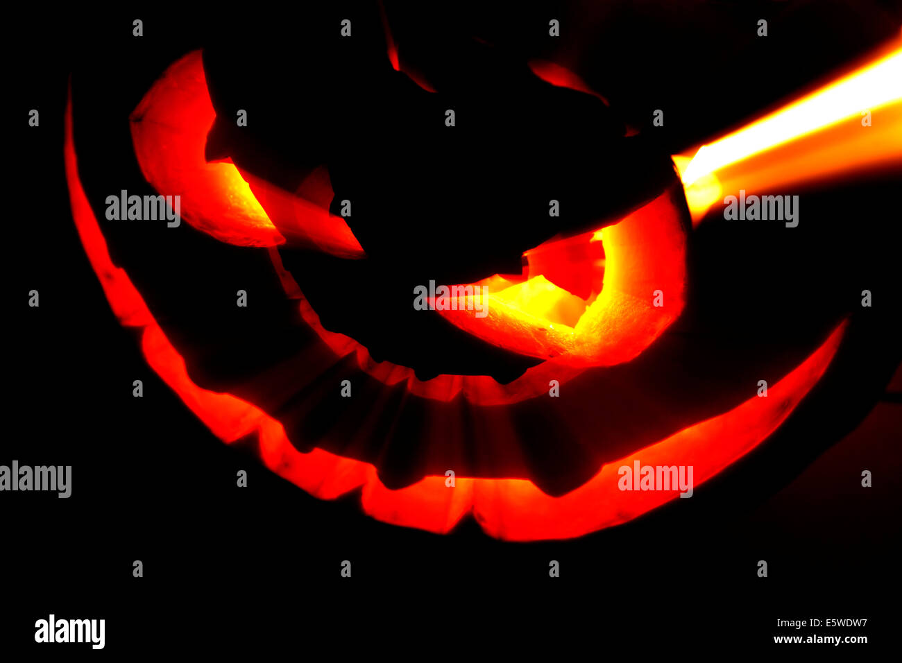 Glowing Halloween pumpkin with rays of light on black background Stock ...