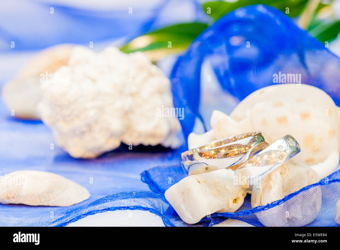 wedding rings with blue ribbon and shells Stock Photo - Alamy