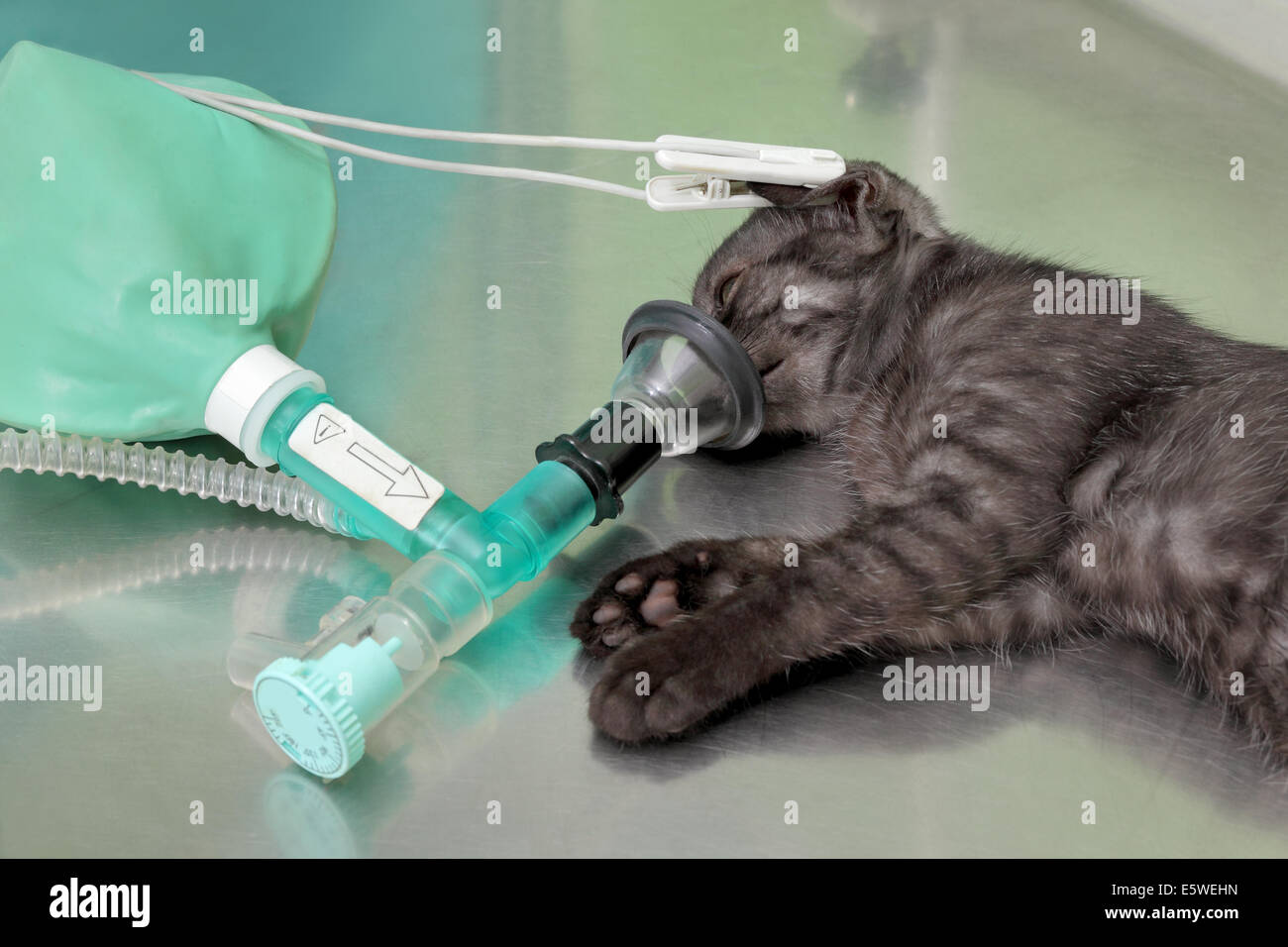 Anesthesia devices hi-res stock photography and images - Alamy