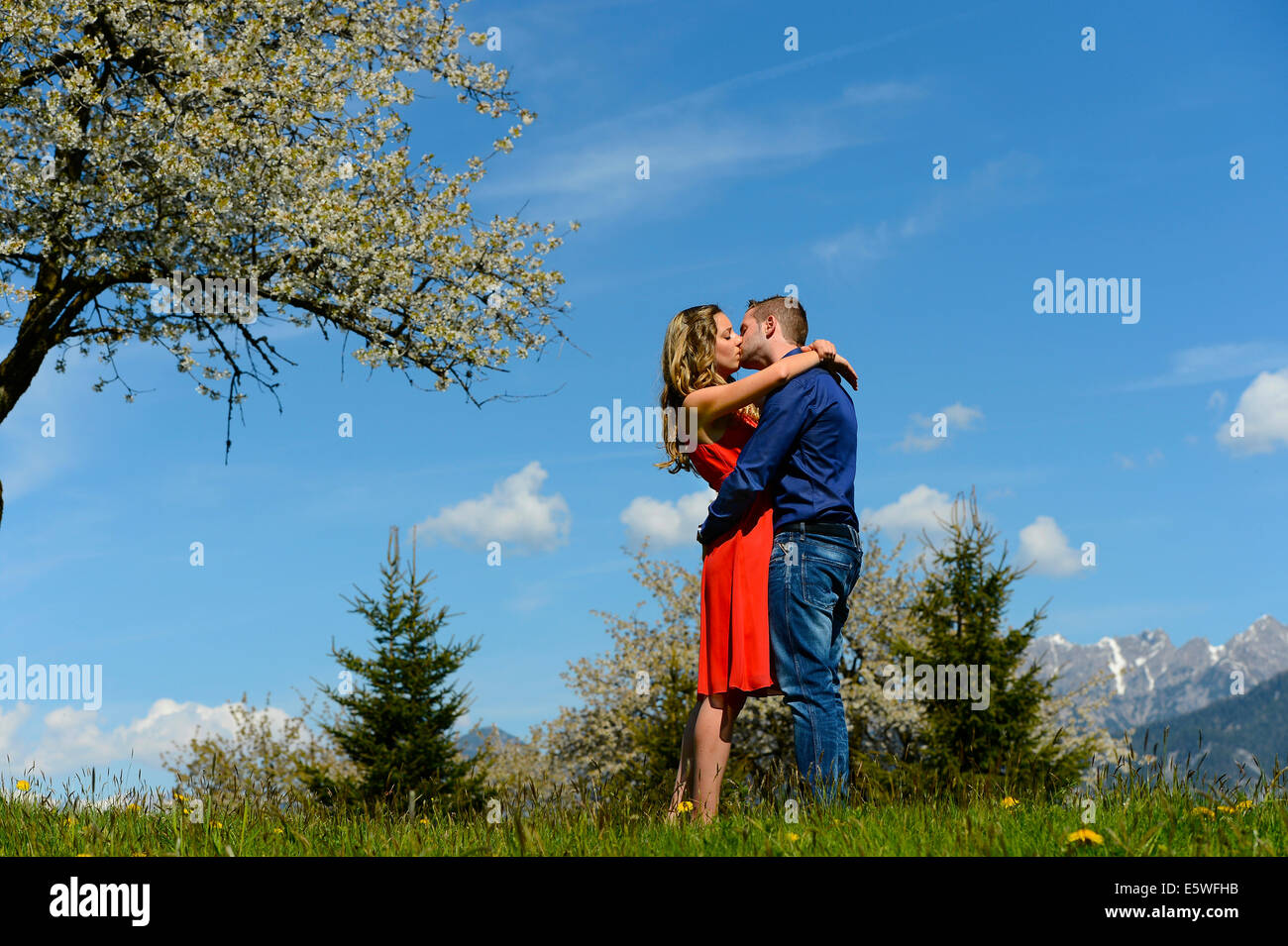 Lovers kissing next to a flowering tree in the spring, Tyrol, Austria ...