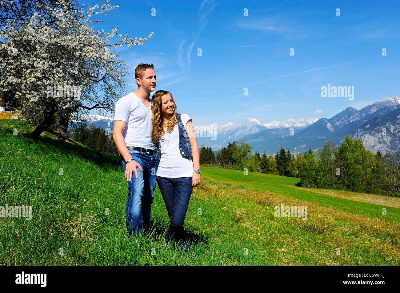 Lovers in the spring, flowering tree and mountains at the back, Götzens ...