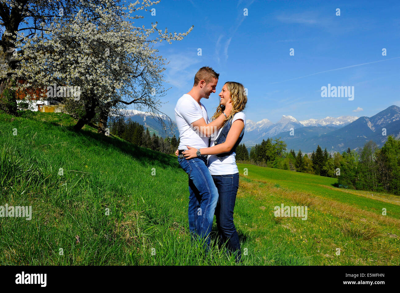 Lovers in the spring, flowering tree and mountains at the back, Götzens ...