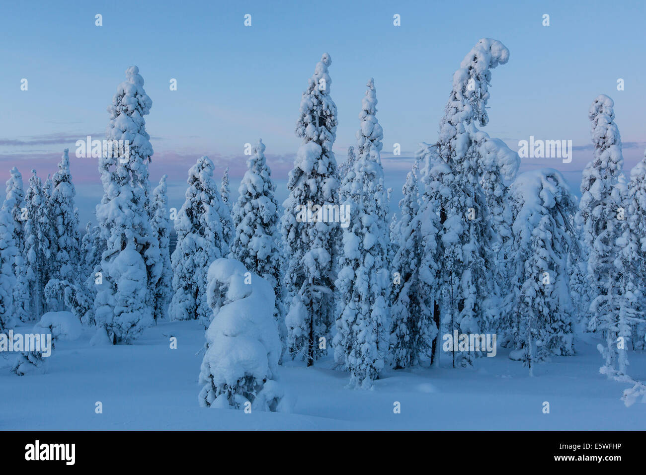 Rovaniemi lapland landscape hi-res stock photography and images - Alamy