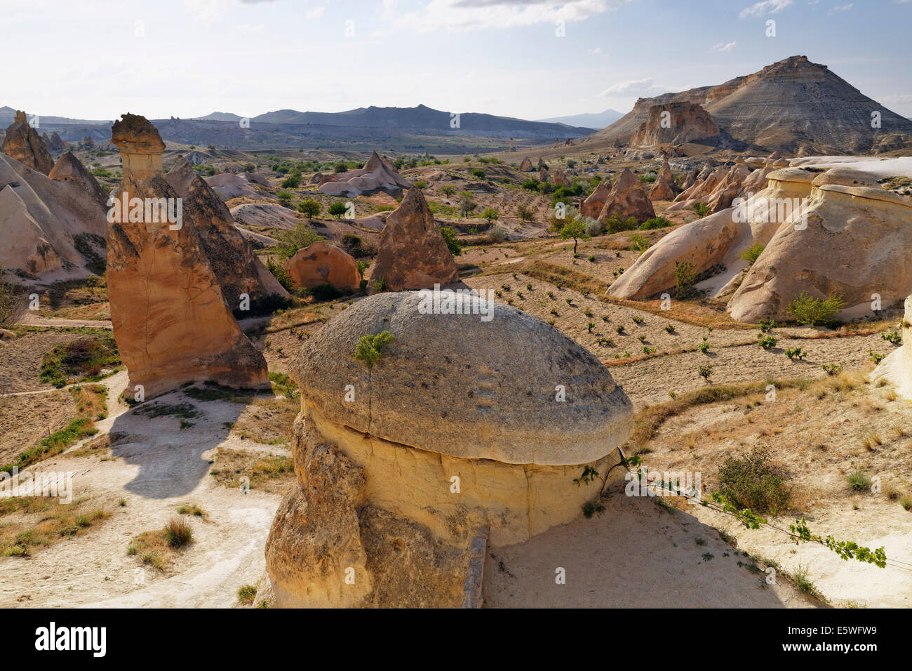 Fairy chimneys, tufa formations, Valley of the Monks, Pasabagi, Goreme ...