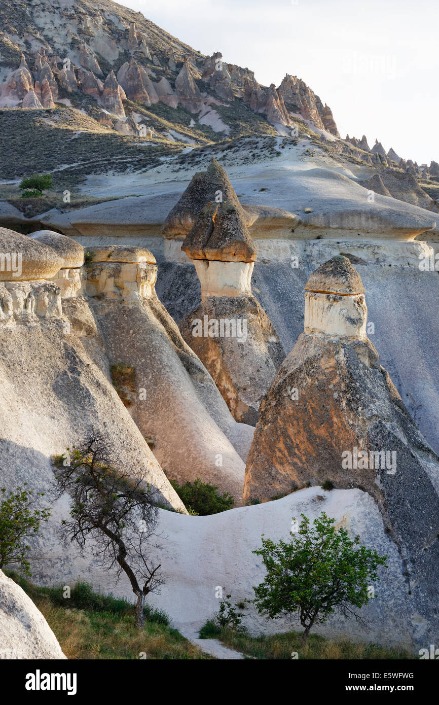 Fairy chimneys, tufa formations, Valley of the Monks, Pasabagi, Goreme ...