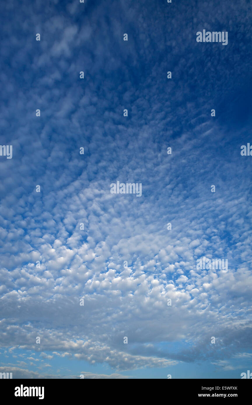 Altocumulus clouds, Germany Stock Photo - Alamy