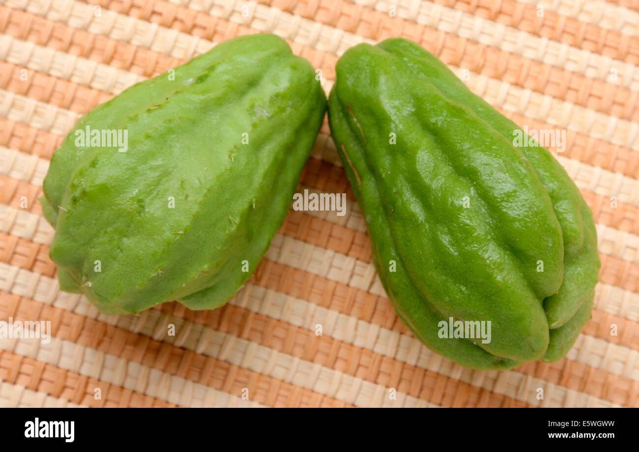 CHRISTOPHENE/CHRISTOPHINE/CHAYOTE/CHO CHO/MERLETON VEGETABLE PEAR Stock ...