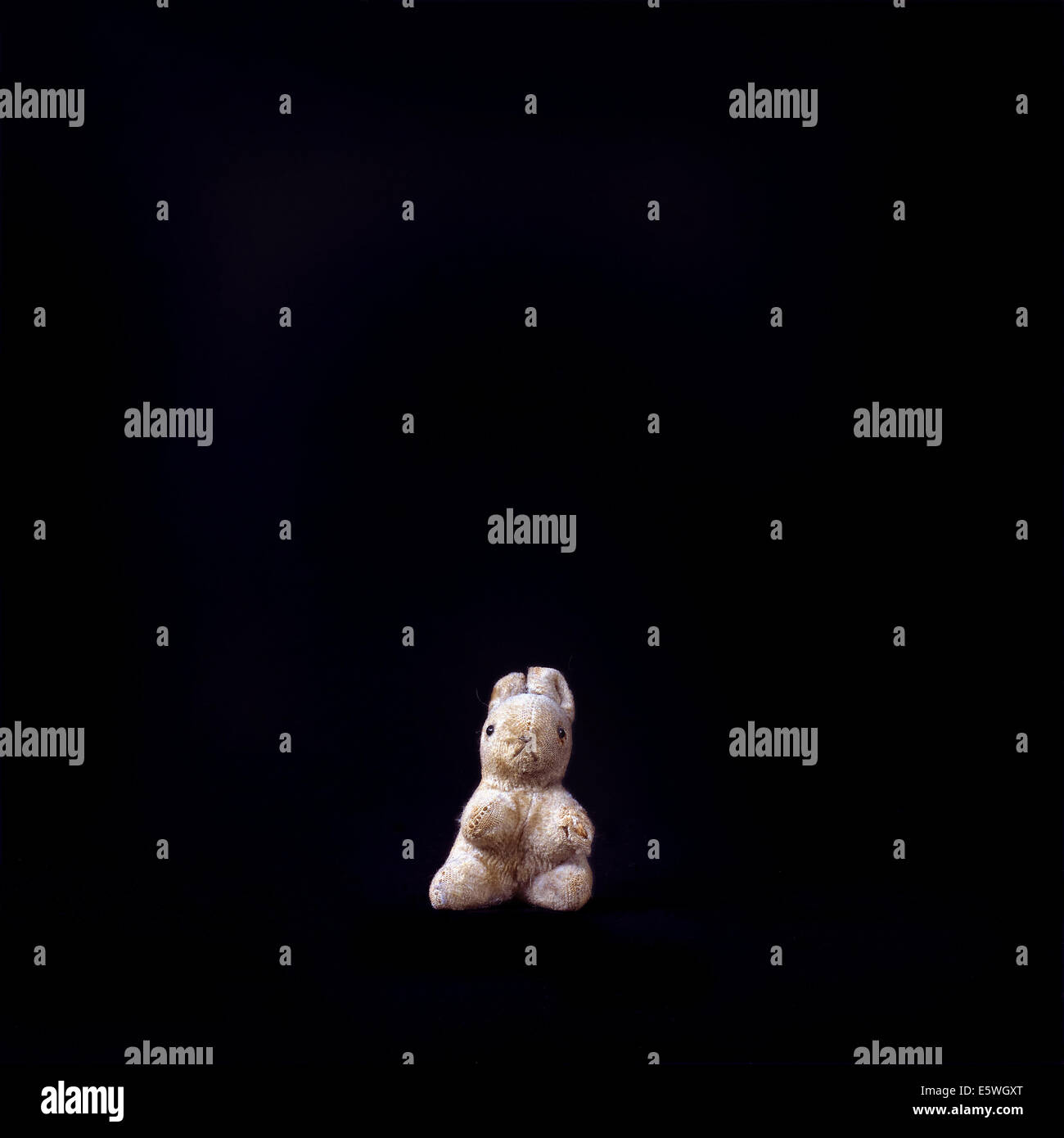 Studio shot of old worn soft toy. Vintage small white rabbit. The ...