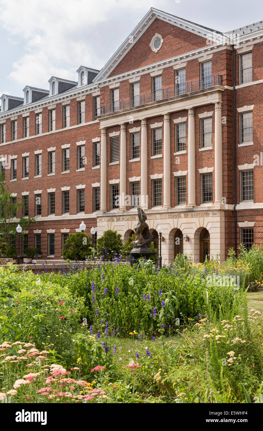 Georgetown University Classes