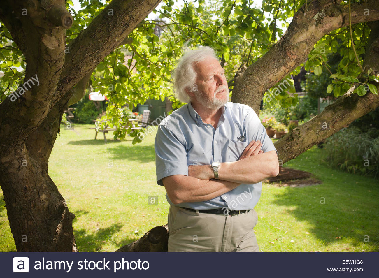 Ian Lavender Stock Photos & Ian Lavender Stock Images - Alamy