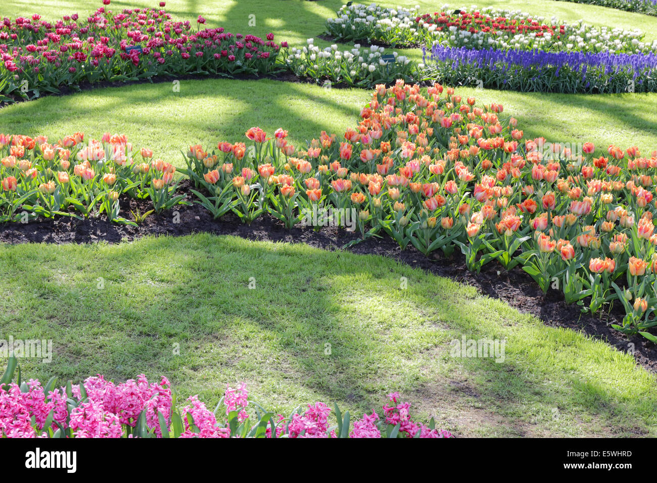 Flowers in spring Stock Photo - Alamy