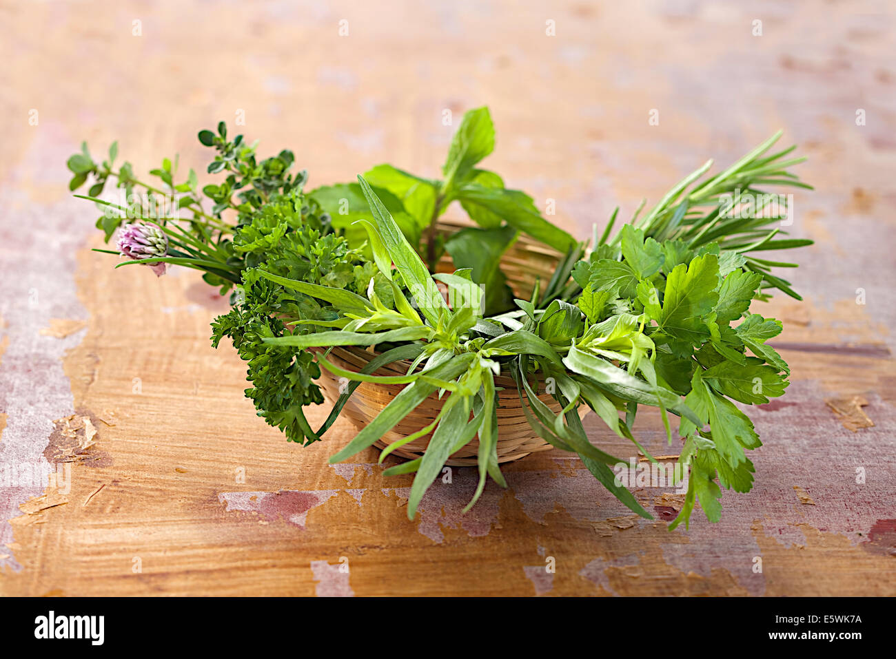 Plant nourishment hi-res stock photography and images - Alamy