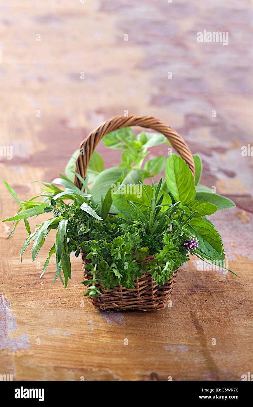Plant nourishment hi-res stock photography and images - Alamy