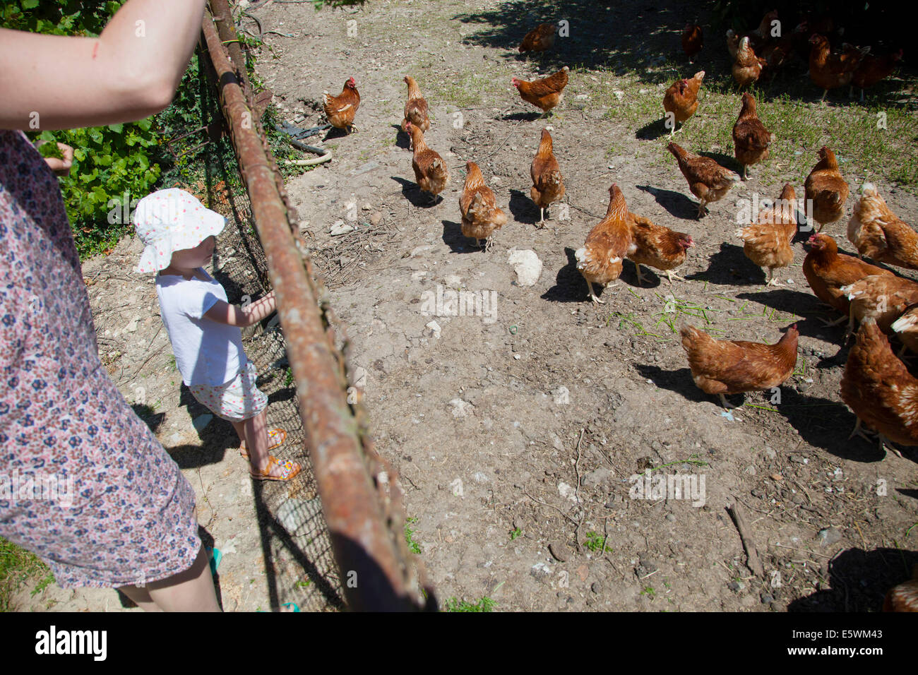 Child with hens hi-res stock photography and images - Alamy