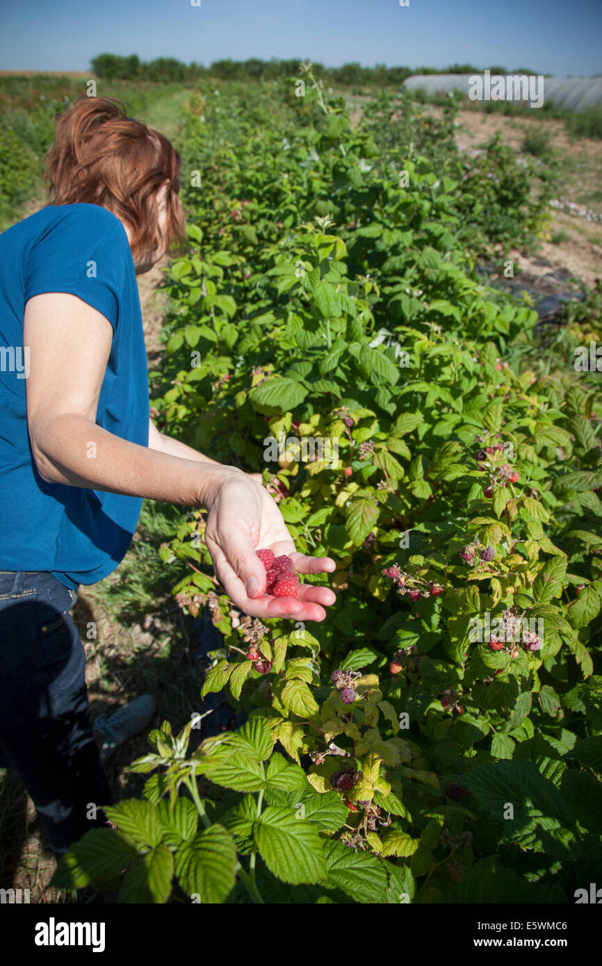 Farm citizen hi-res stock photography and images - Alamy