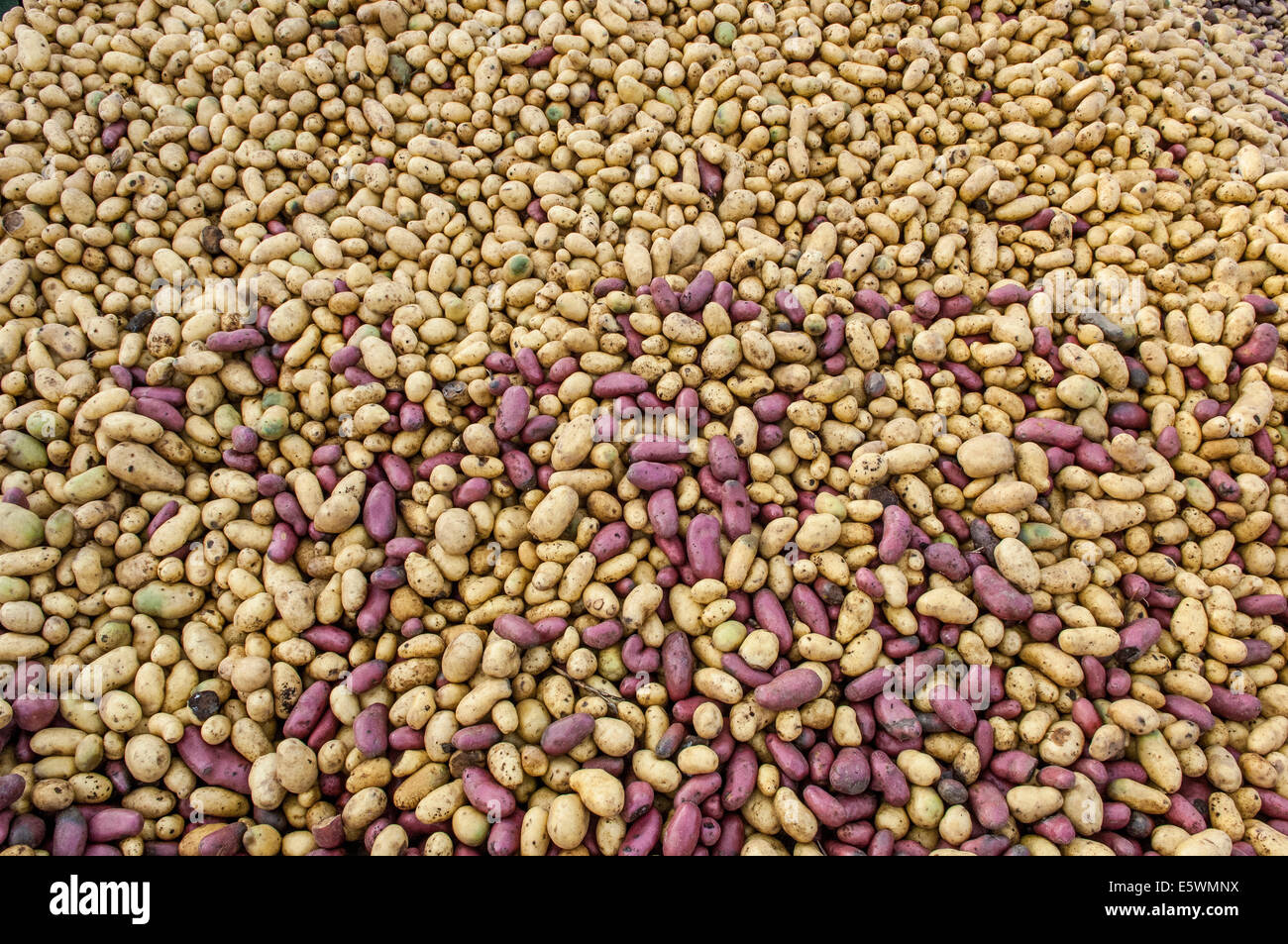 Food piles hi-res stock photography and images - Alamy