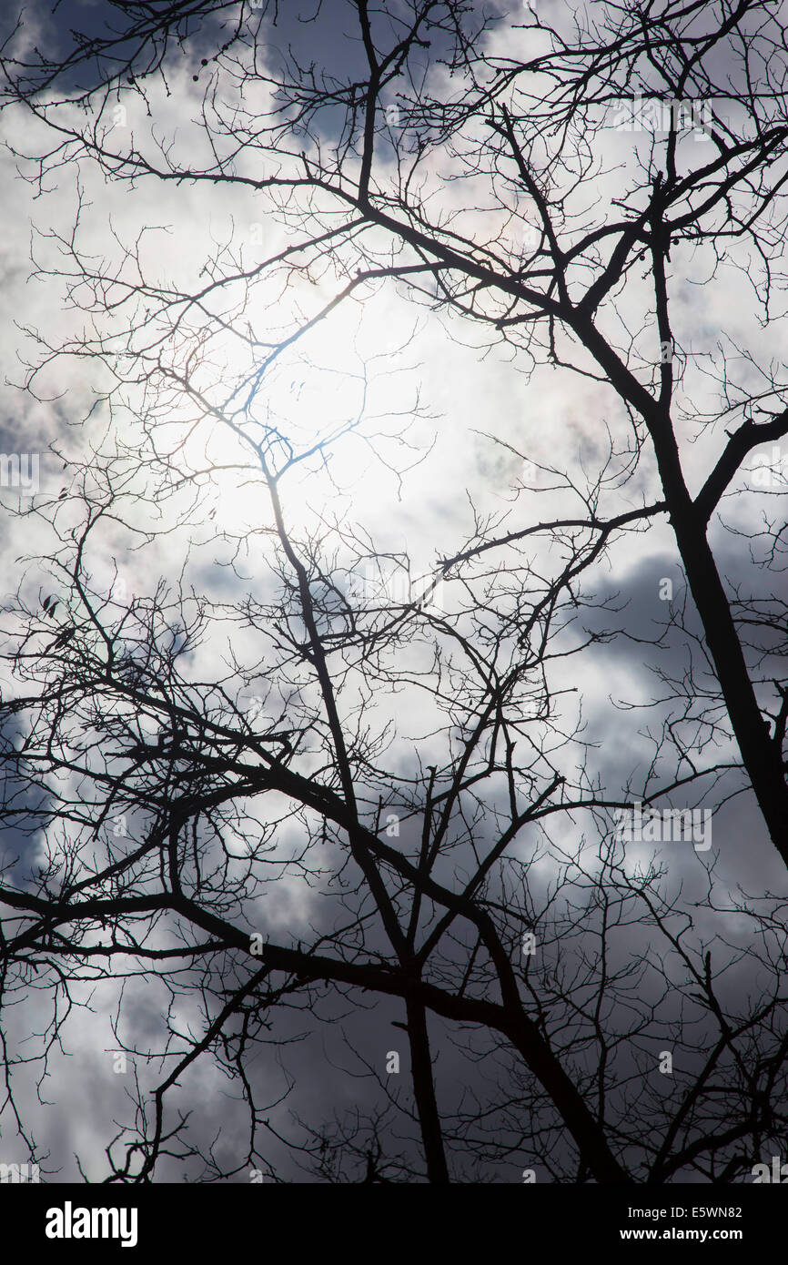 Thundercloud silhouette hi-res stock photography and images - Alamy