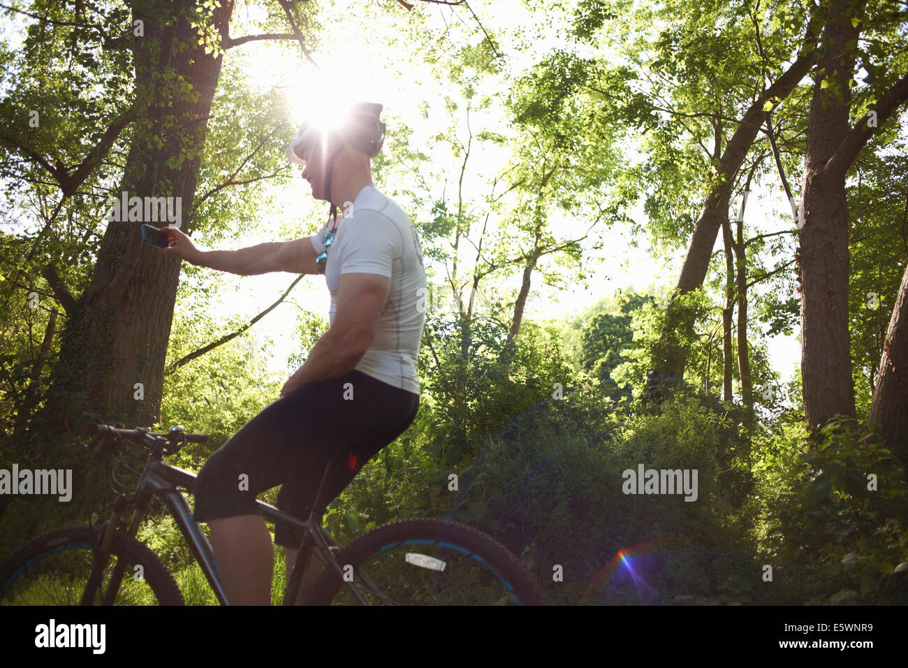 Cyclist stopping for break in forest Stock Photo - Alamy