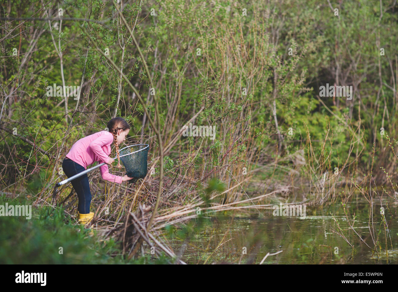 Girl retrieving frog from fishing net at pond Stock Photo - Alamy